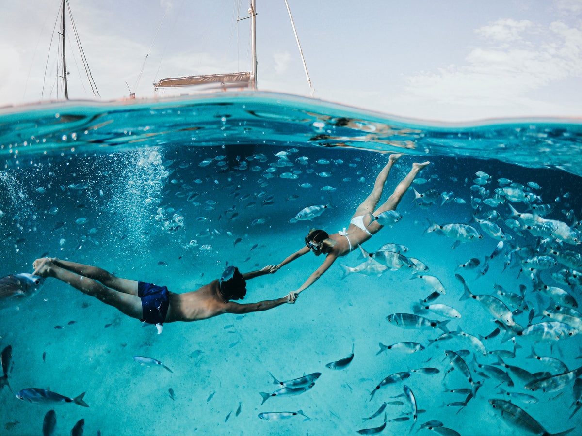 Mastering Underwater Photography: Tips and Gear Guide – telesinstore