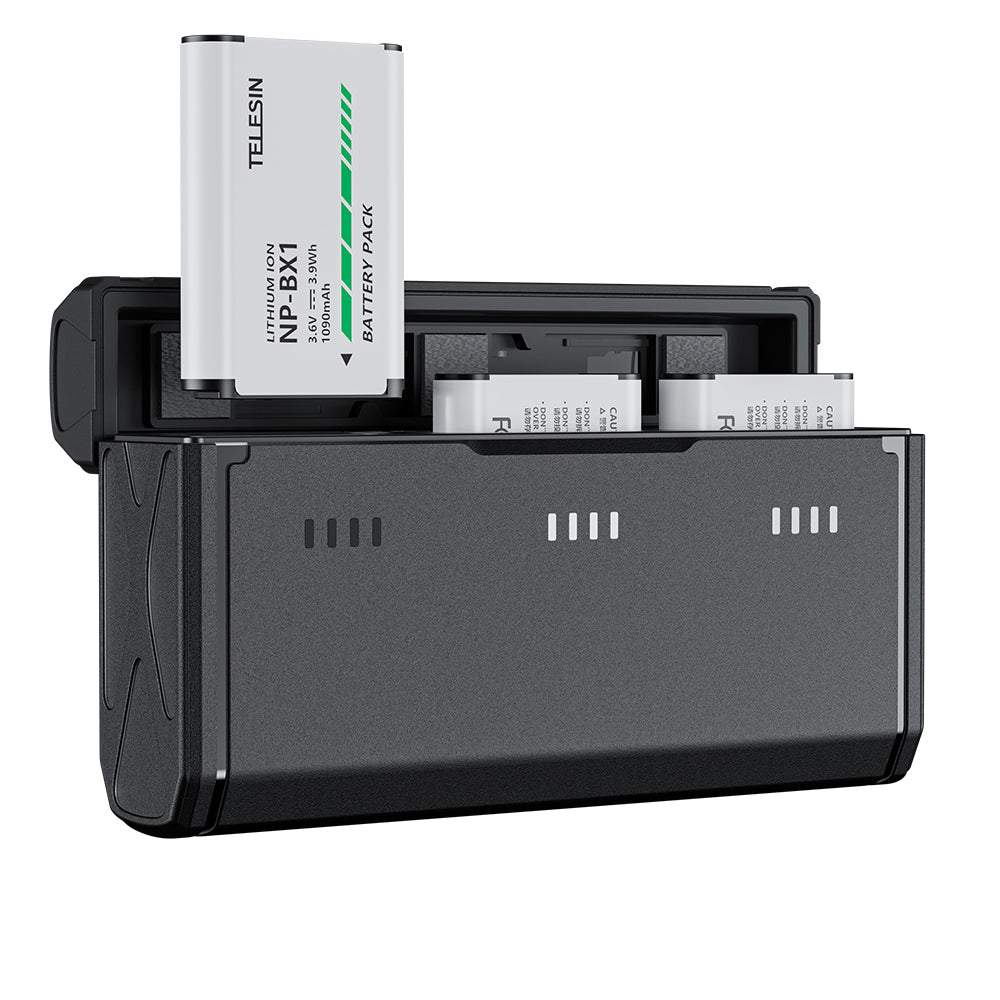 TELESIN Portable Charging Case with 2 NP-BX1 Batteries for Sony ...