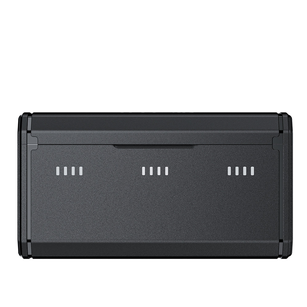 TELESIN Portable Charging Case with 2 NP-BX1 Batteries for Sony ...